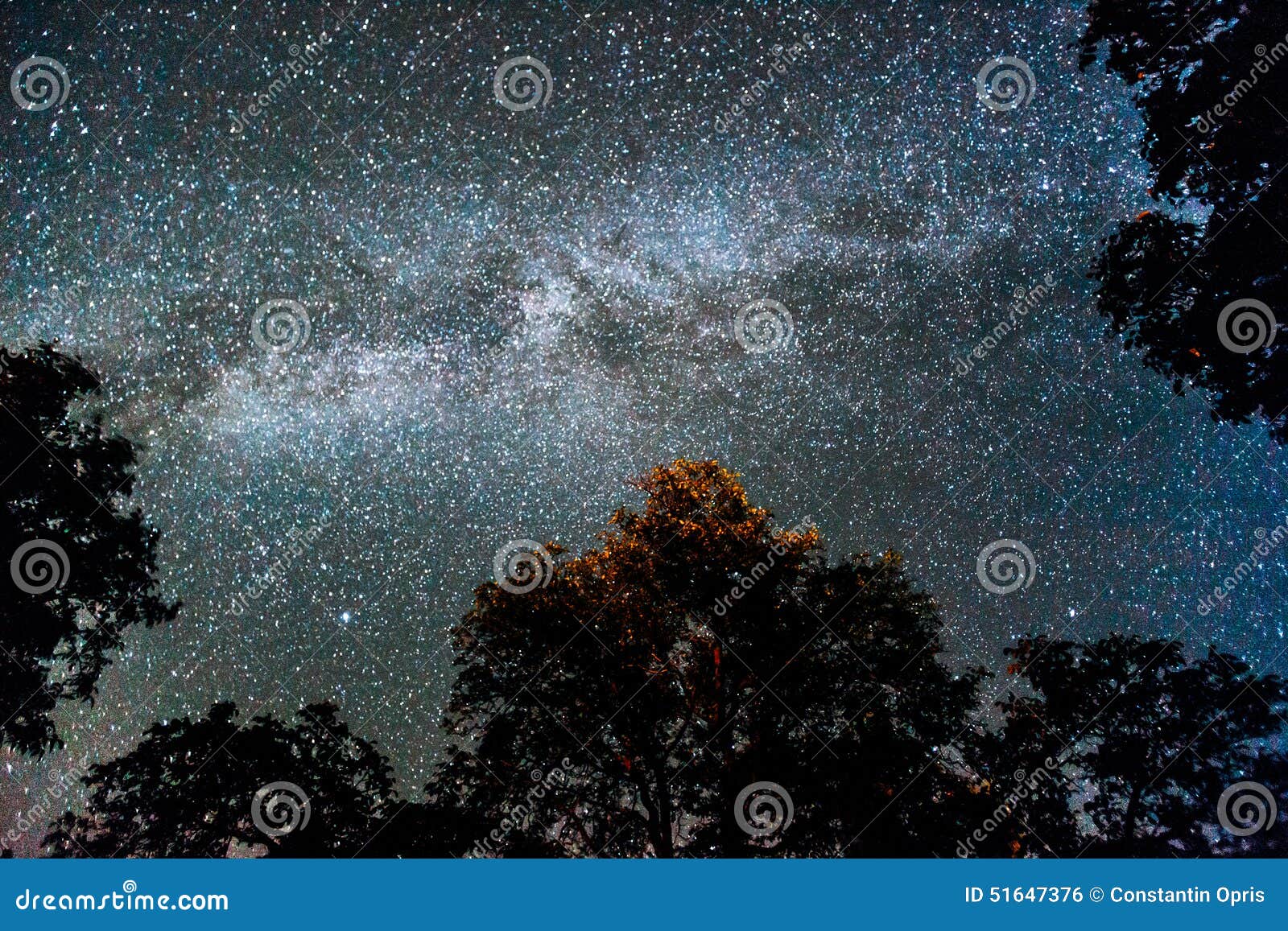 Night starry sky stock photo. Image of stars, landscape - 51647376