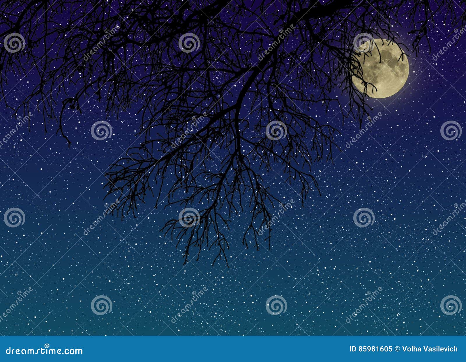 Night Starry Sky with a Full Moon Behind Tree Branches Close-up View ...