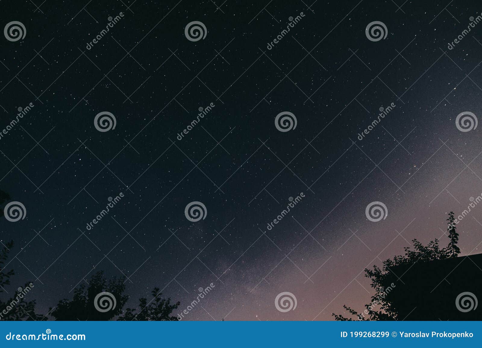 Night Starry Sky in the Village in Spring Stock Image - Image of long ...