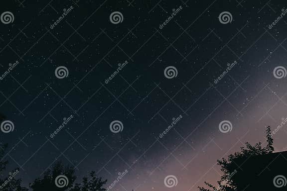 Night Starry Sky in the Village in Spring Stock Image - Image of long ...