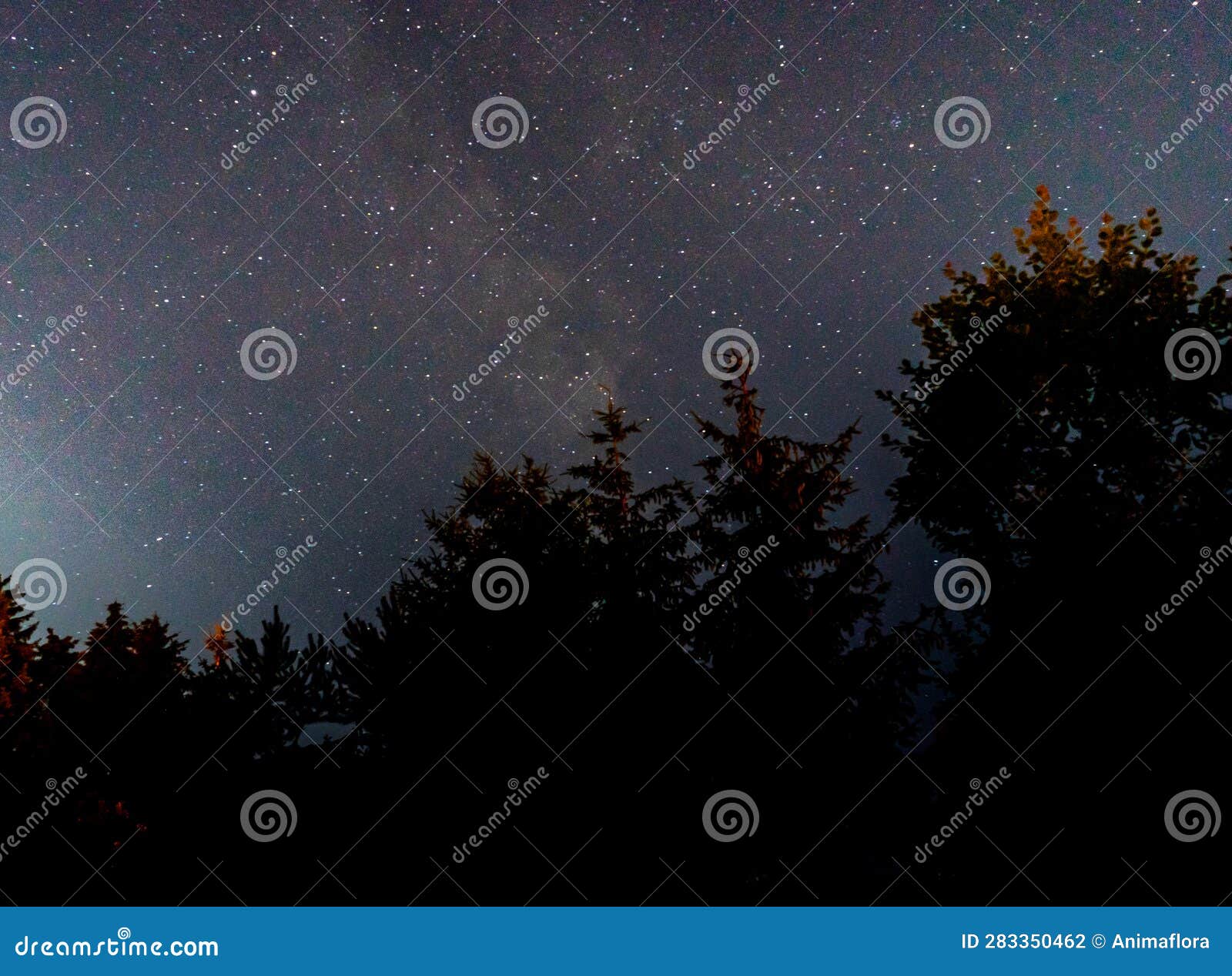 Night with Stars in the Dark Forest Stock Photo - Image of moon, night ...