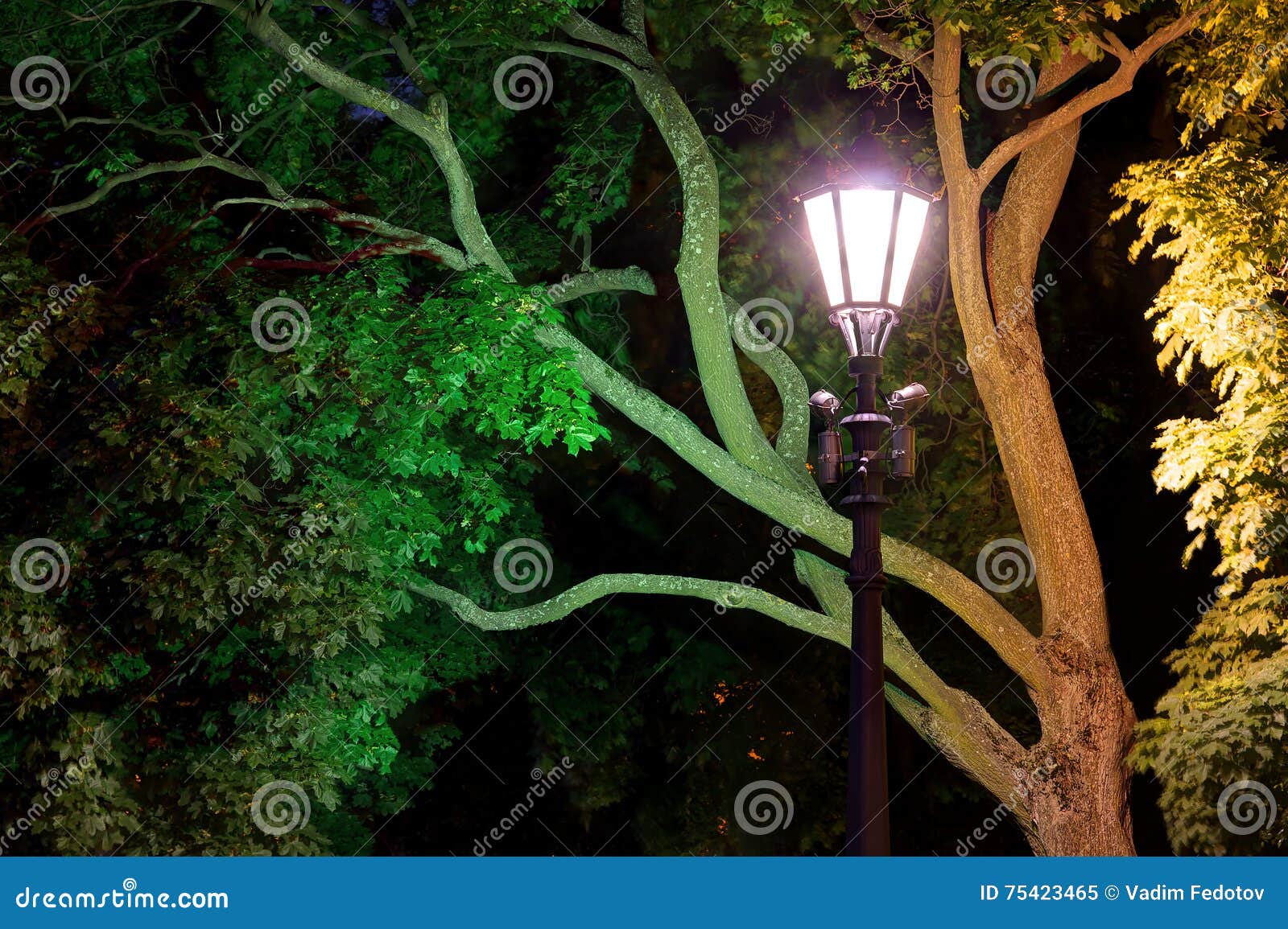 Night Street Light on the Background of Tree Stock Image - Image of ...
