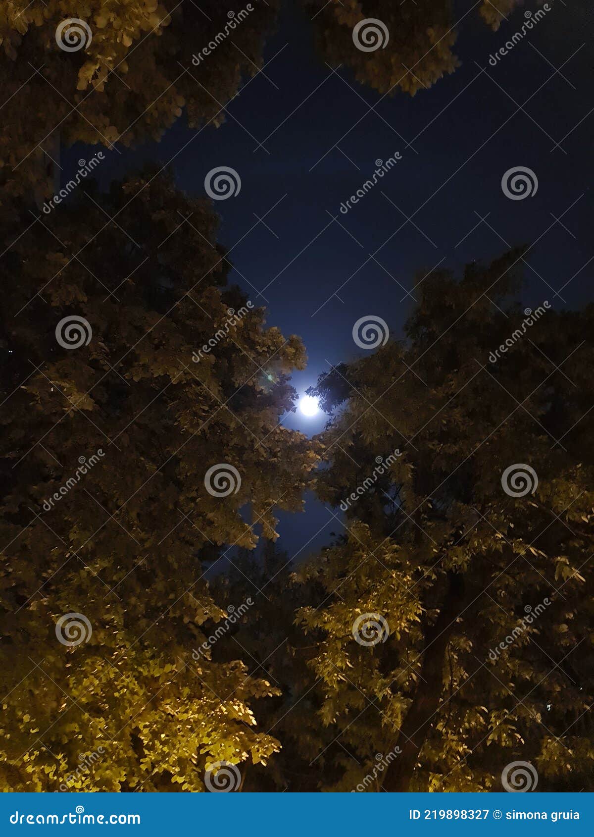 Night time dream moon stock image. Image of yellow, light - 219898327
