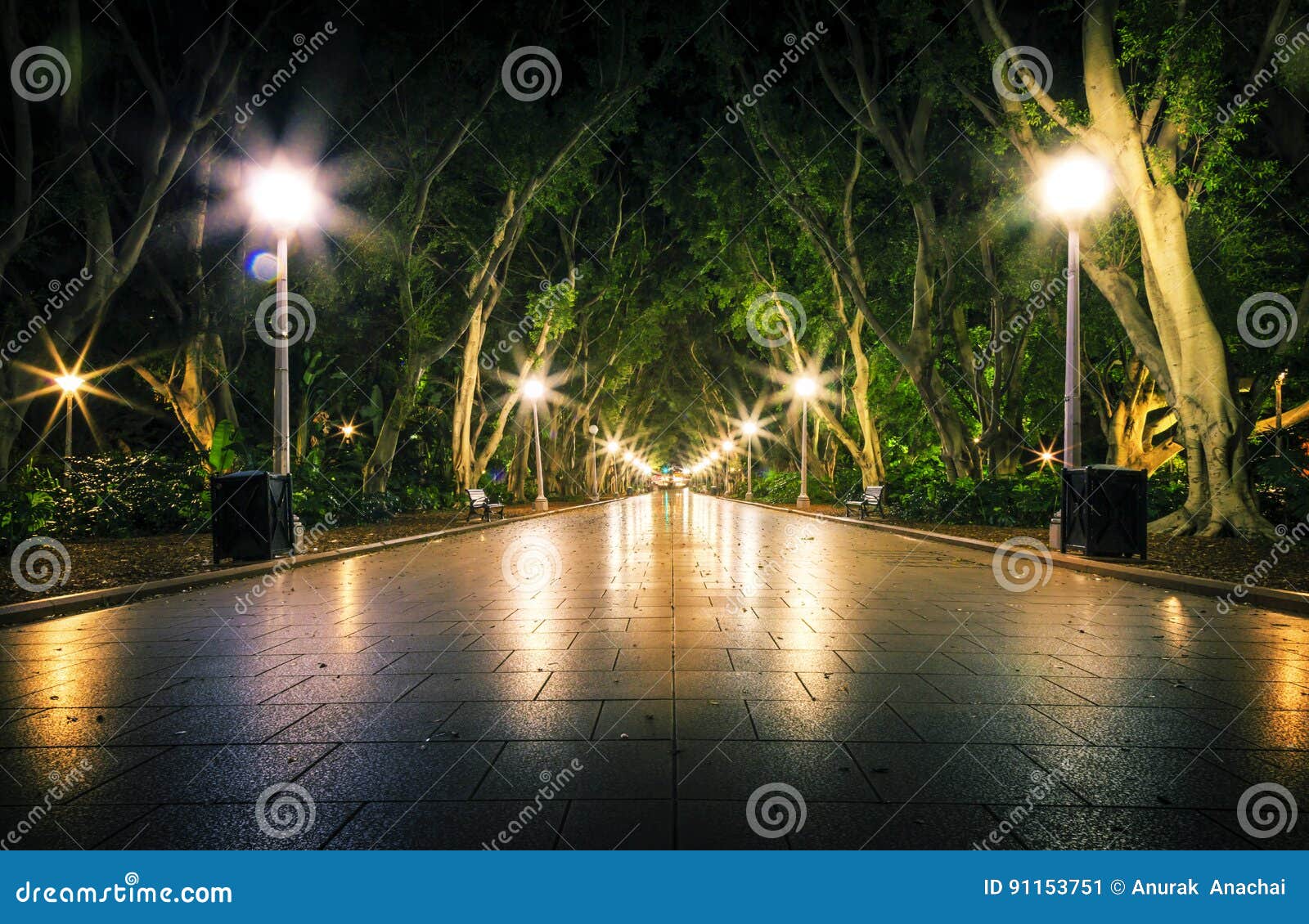 Night time in the park stock image. Image of lamp, nature - 91153751