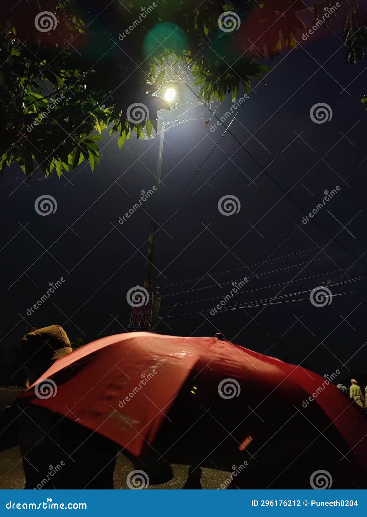 Night Time Raining , Umbrella Photo Stock Photo - Image of night ...