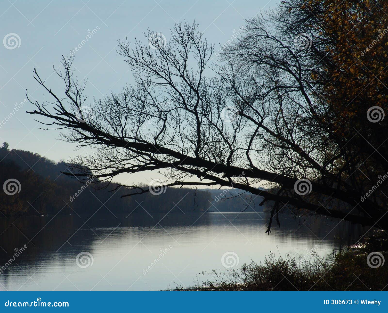 Night time by the river stock image. Image of landscape - 306673