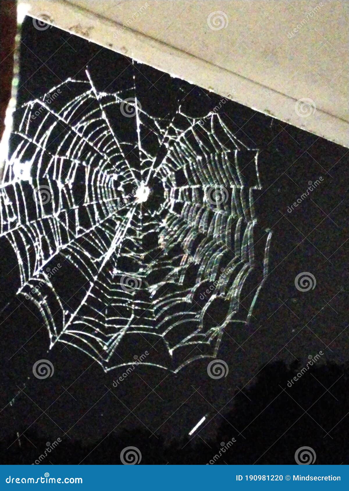 Night Time Spider Web Dark Broken Web Spider Love Insect Stock Photo ...