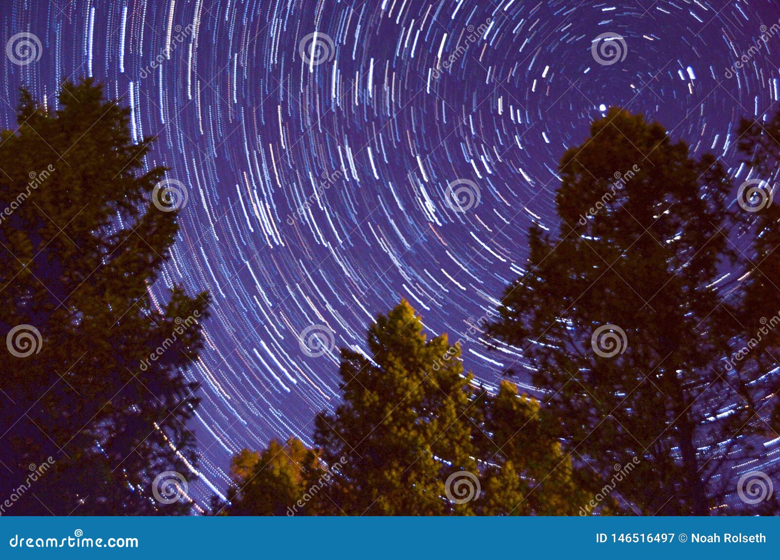 Night Time Tree with Milky Way Stock Image - Image of astrophotography ...