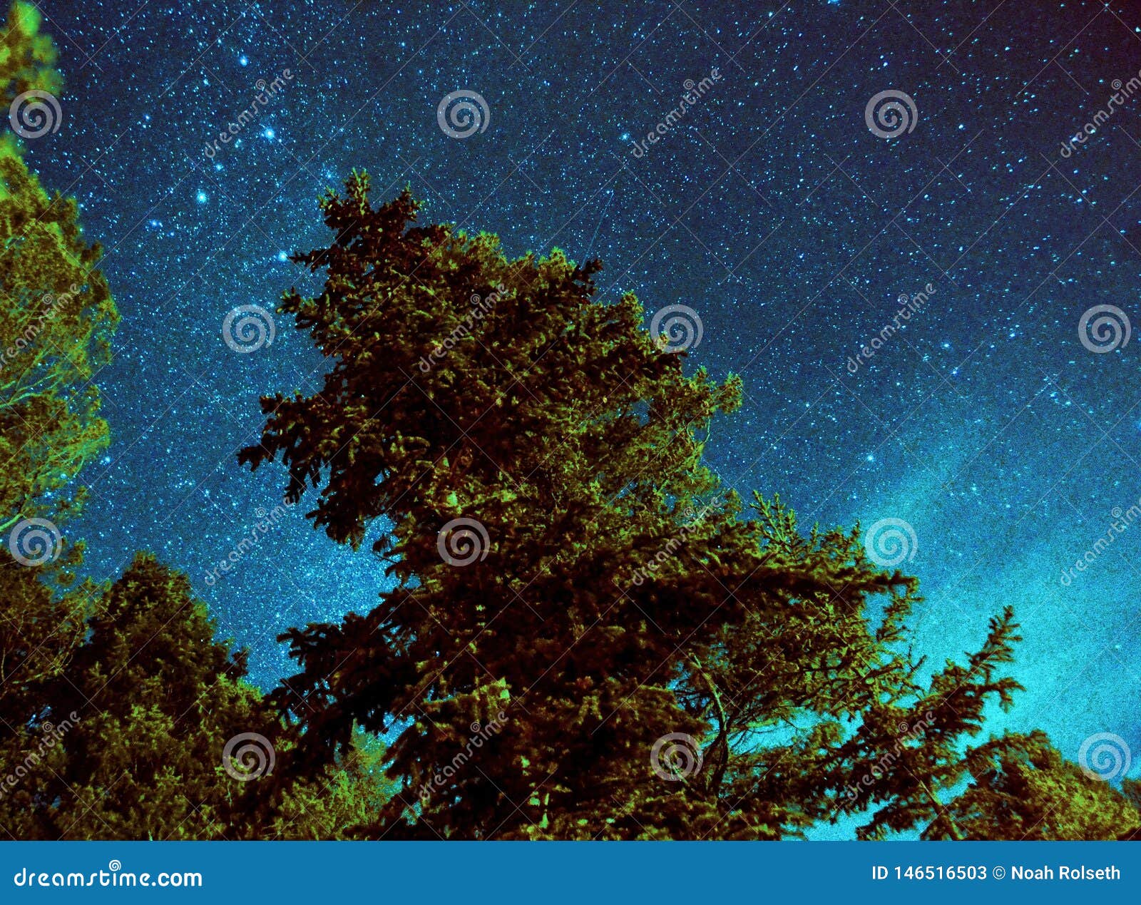 Night Time Tree with Milky Way Stock Image - Image of milky, night ...