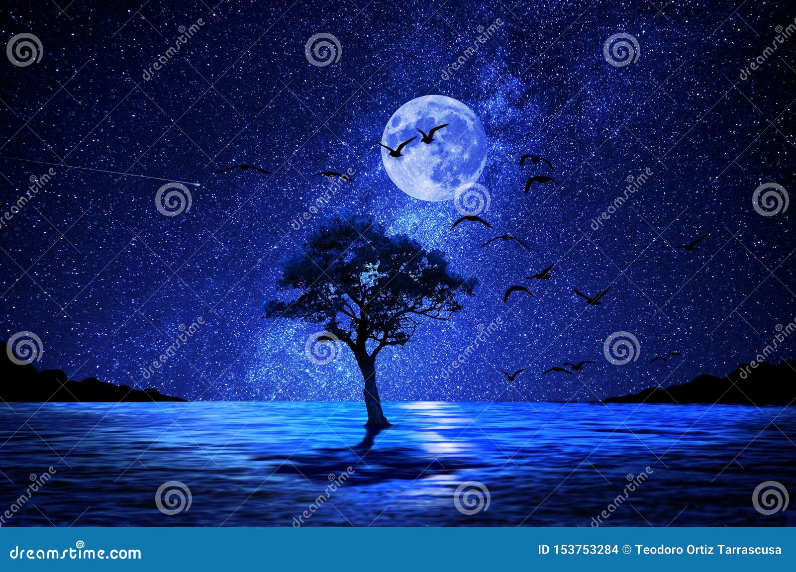 Night Tree on Lake and Moon Stock Photo - Image of astronomy, horizon ...
