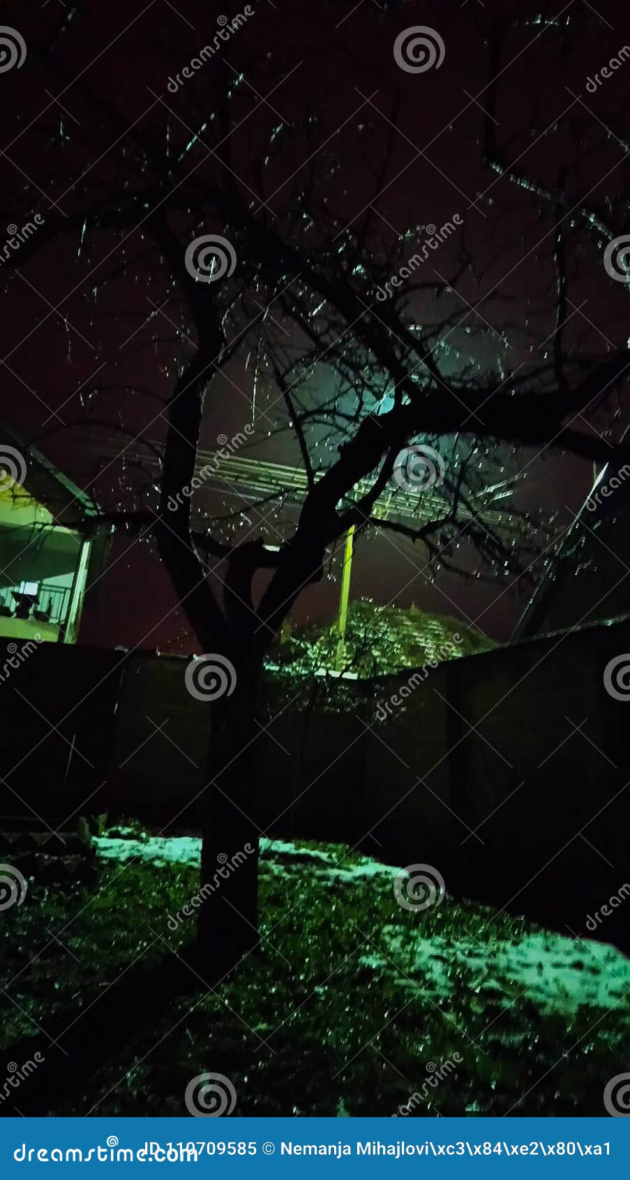 Night tree stock image. Image of nightlight, tree, three - 110709585