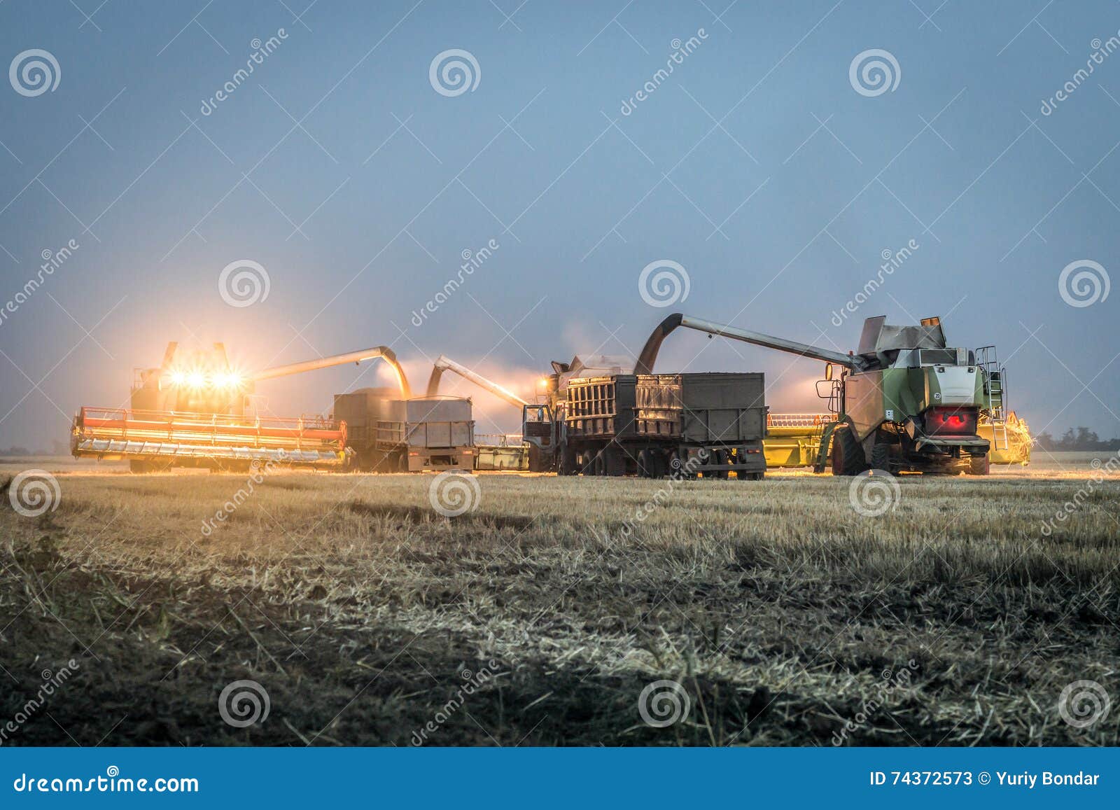 Unloading Grain Truck At Elevator On Elevating Hydraulic Platform ...