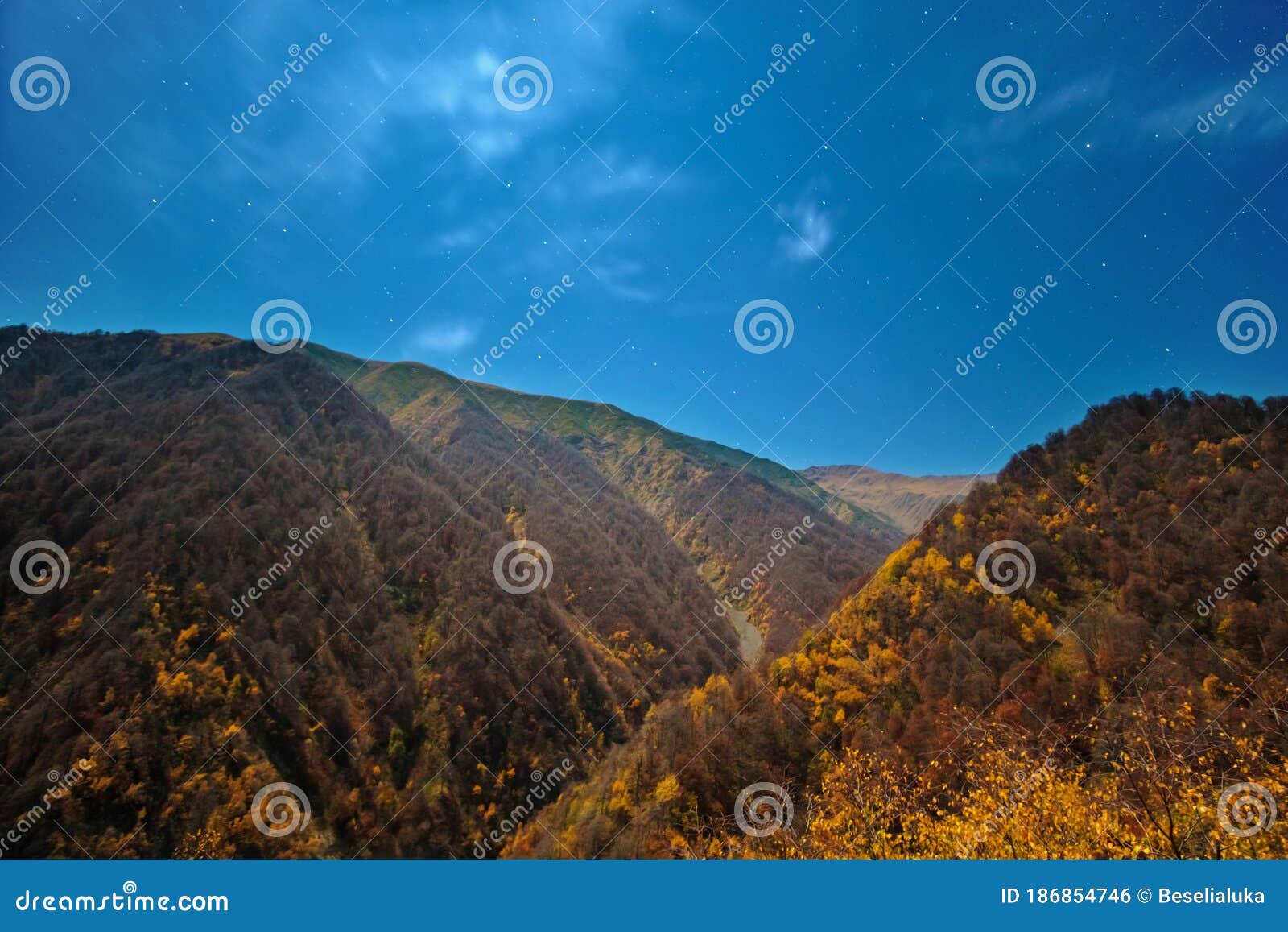 Night View of the Autumn Forest on the Mountains with Starry Sky ...