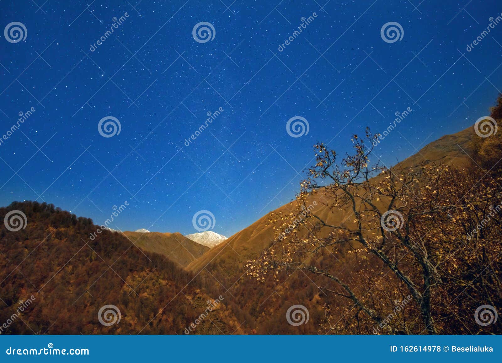 Night View of the Autumn Forest on the Mountains with Starry Sky ...