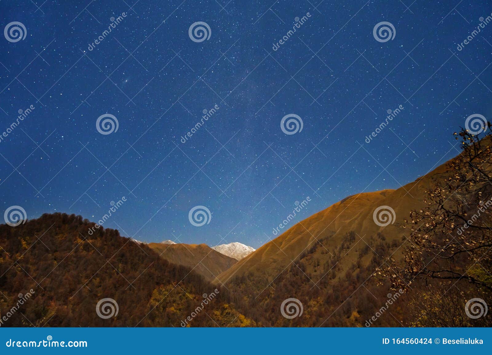 Night View of the Autumn Forest on the Mountains with Starry Sky ...