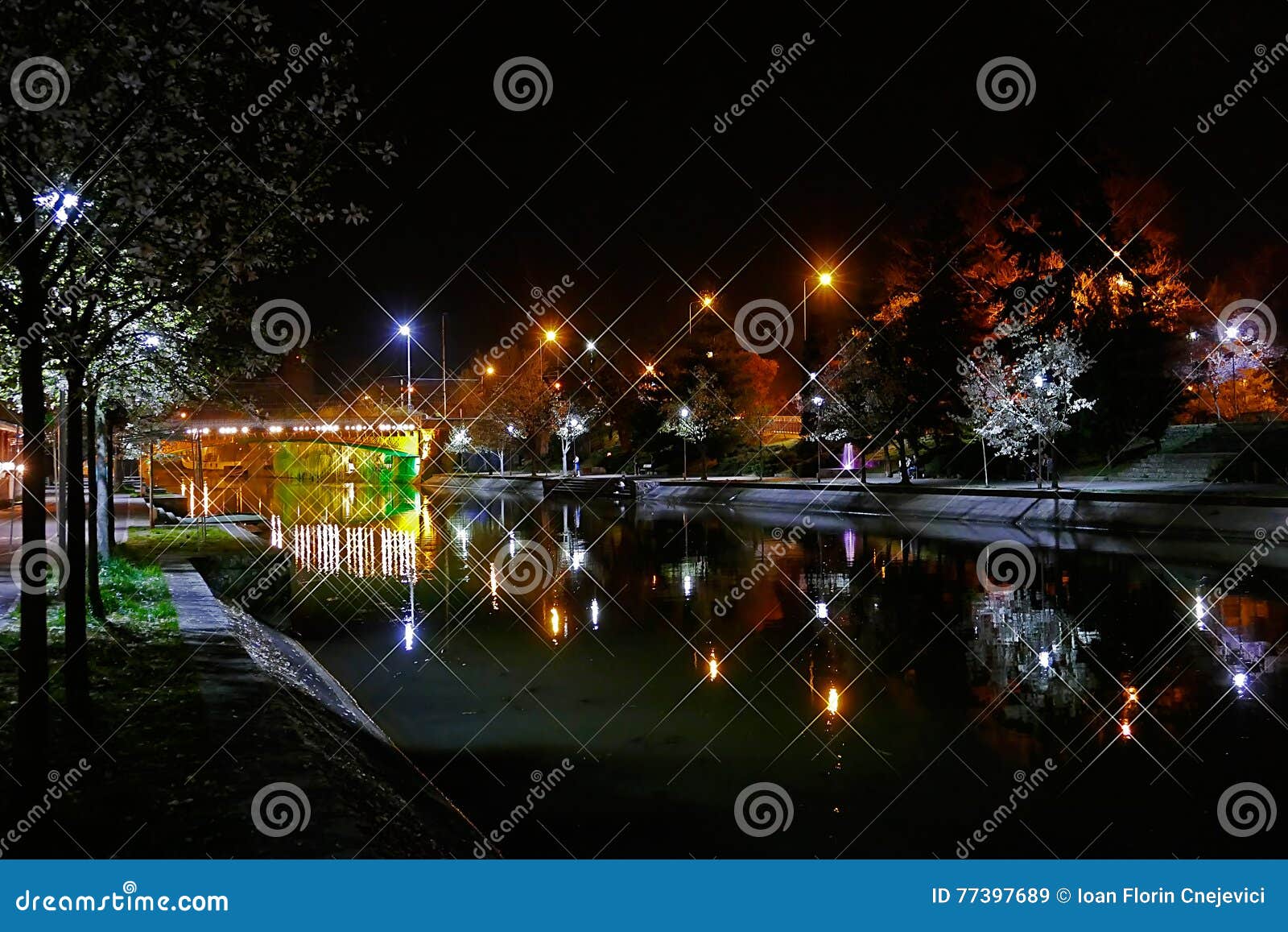 Night View of the Illuminated River Bega in Timisoara Editorial Stock ...
