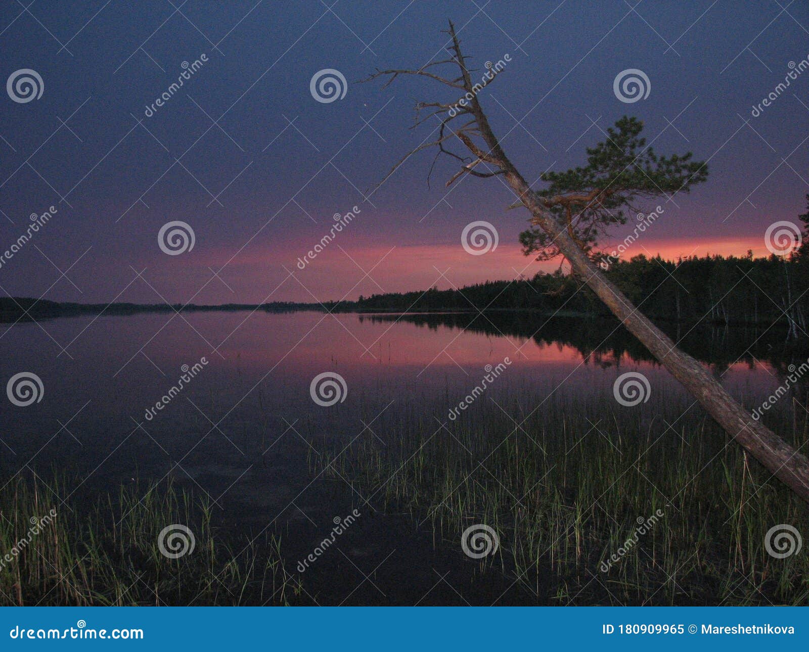 Night view of the lake stock image. Image of evening - 180909965
