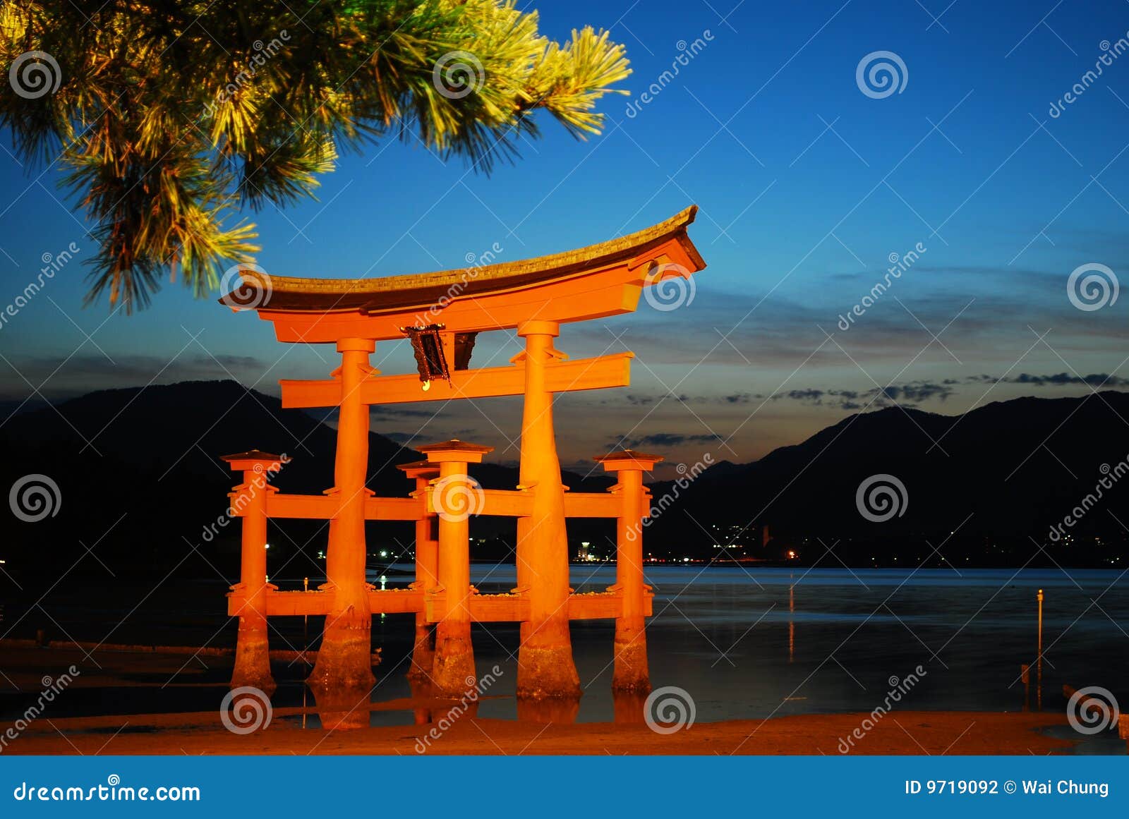 Night View of Majestic Torii Gate during Low Tide Stock Photo - Image ...