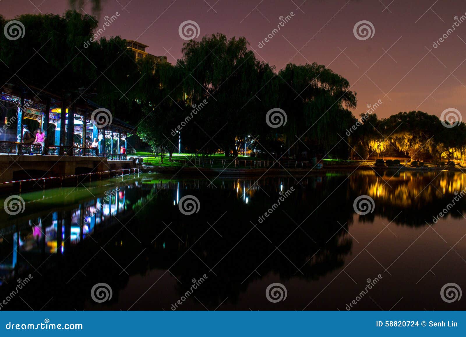 Night view of a park stock photo. Image of scene, light - 58820724