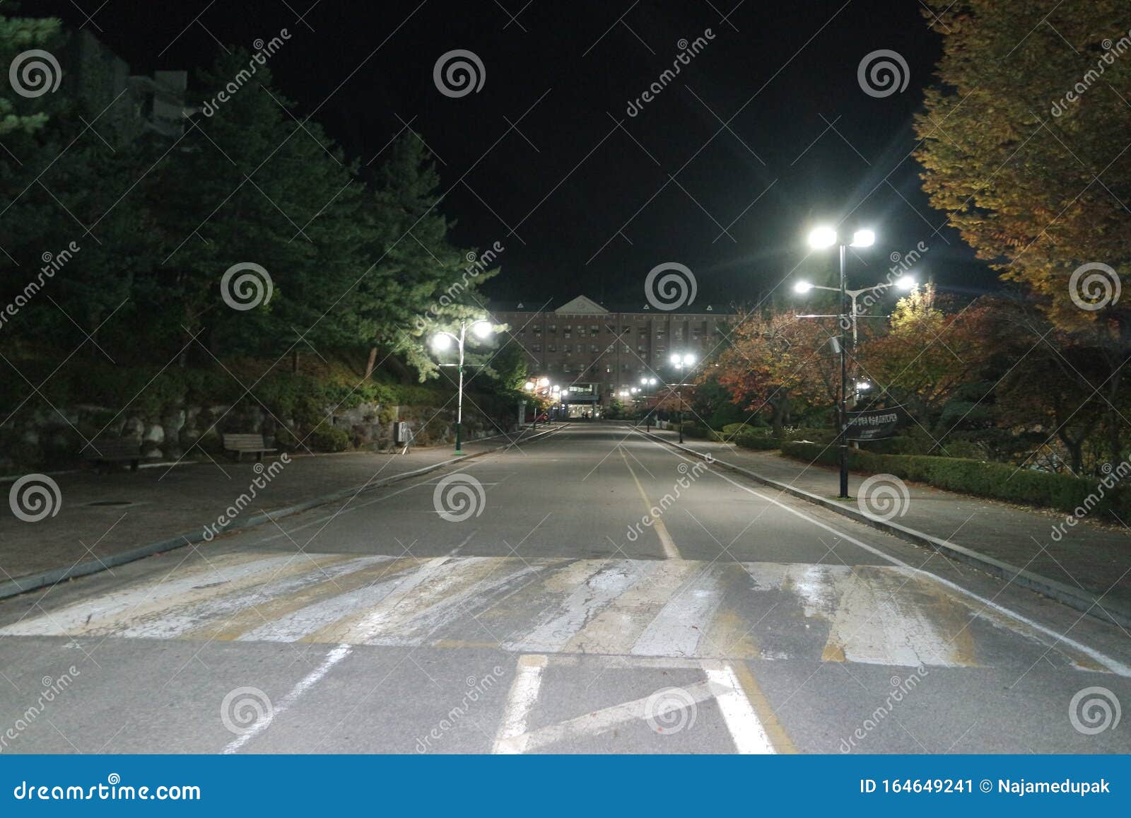 Night View of a Paved Pedestrian Way or Walk Way with Trees on Sides ...
