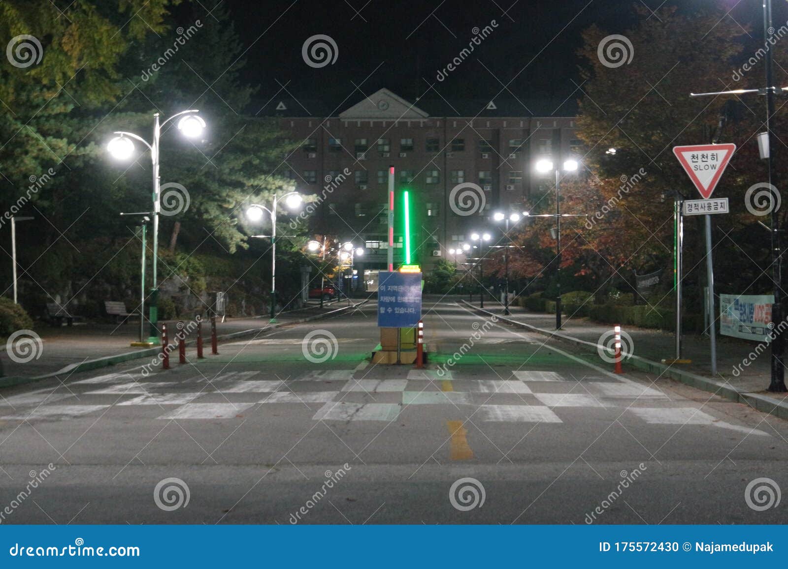 Night View of a Paved Pedestrian Way or Walk Way with Trees on Sides ...