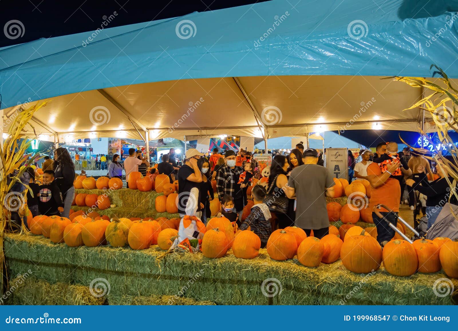 Night View of a Pumpkin Patch Editorial Photography - Image of harvest ...