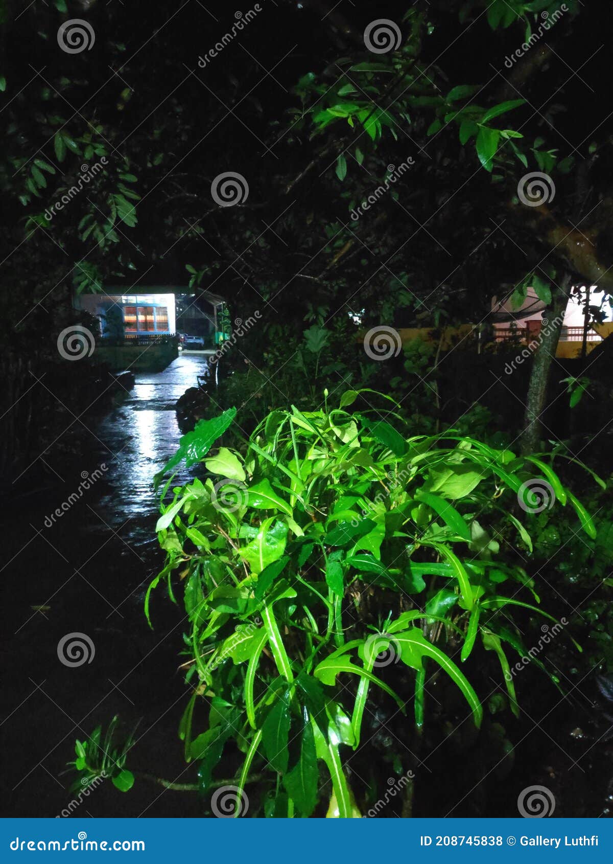 Night View after the Rain in Front of the House Stock Photo - Image of ...