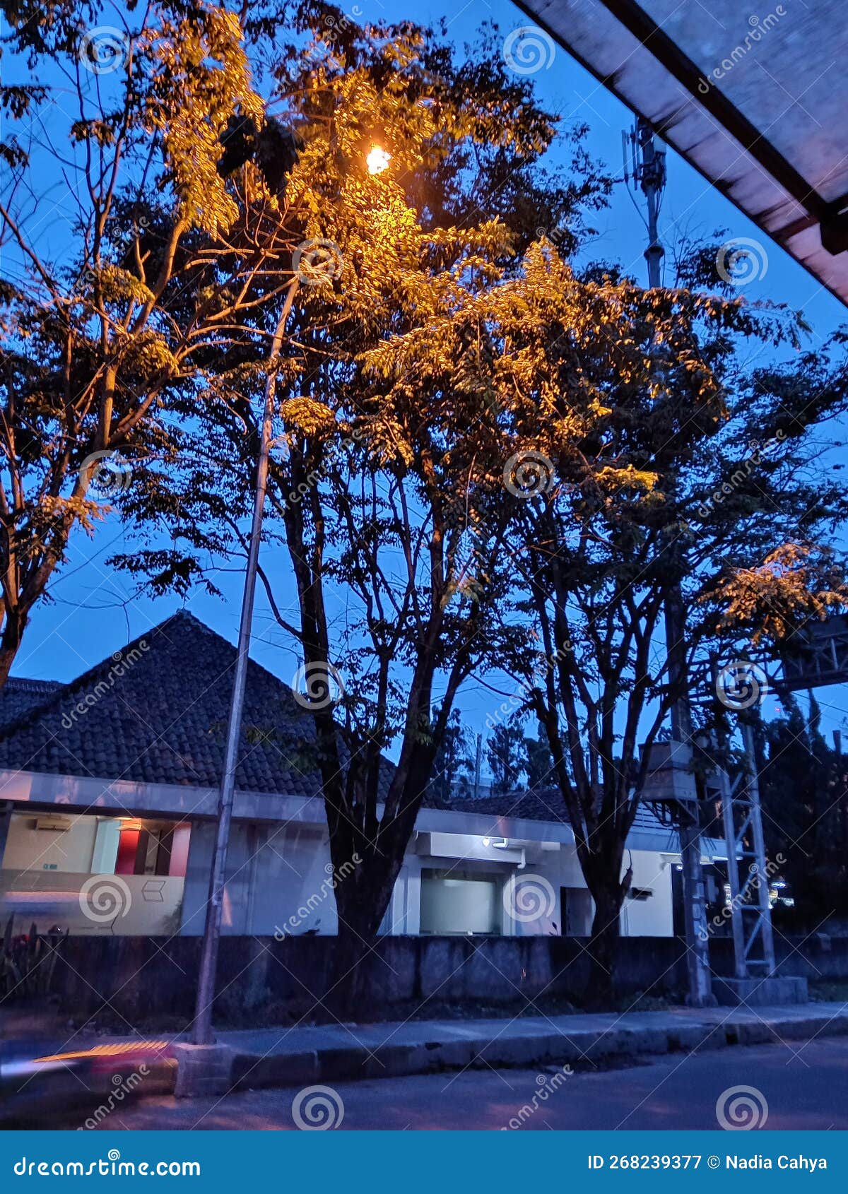 Night view after rain stock image. Image of nature, rain - 268239377