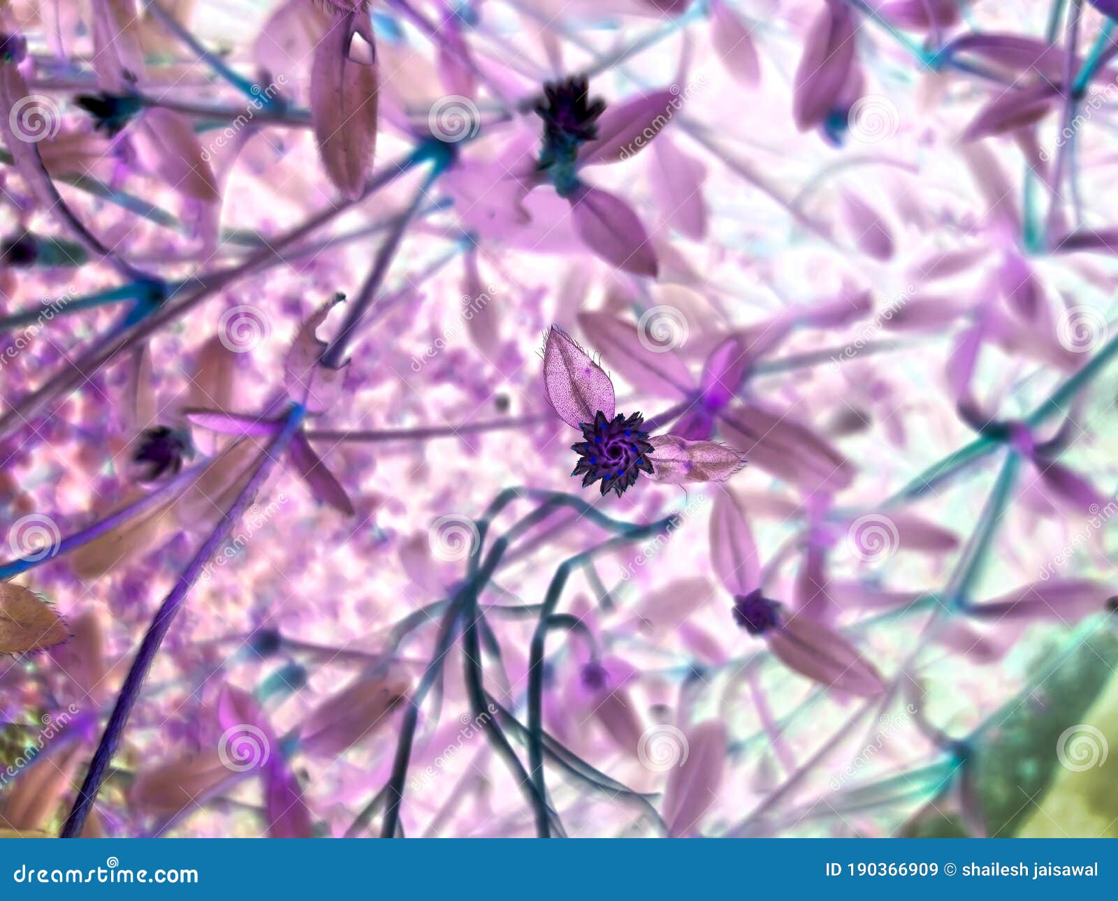 Night Vision Shot Epressing Abstract Color and Design Stock Image ...