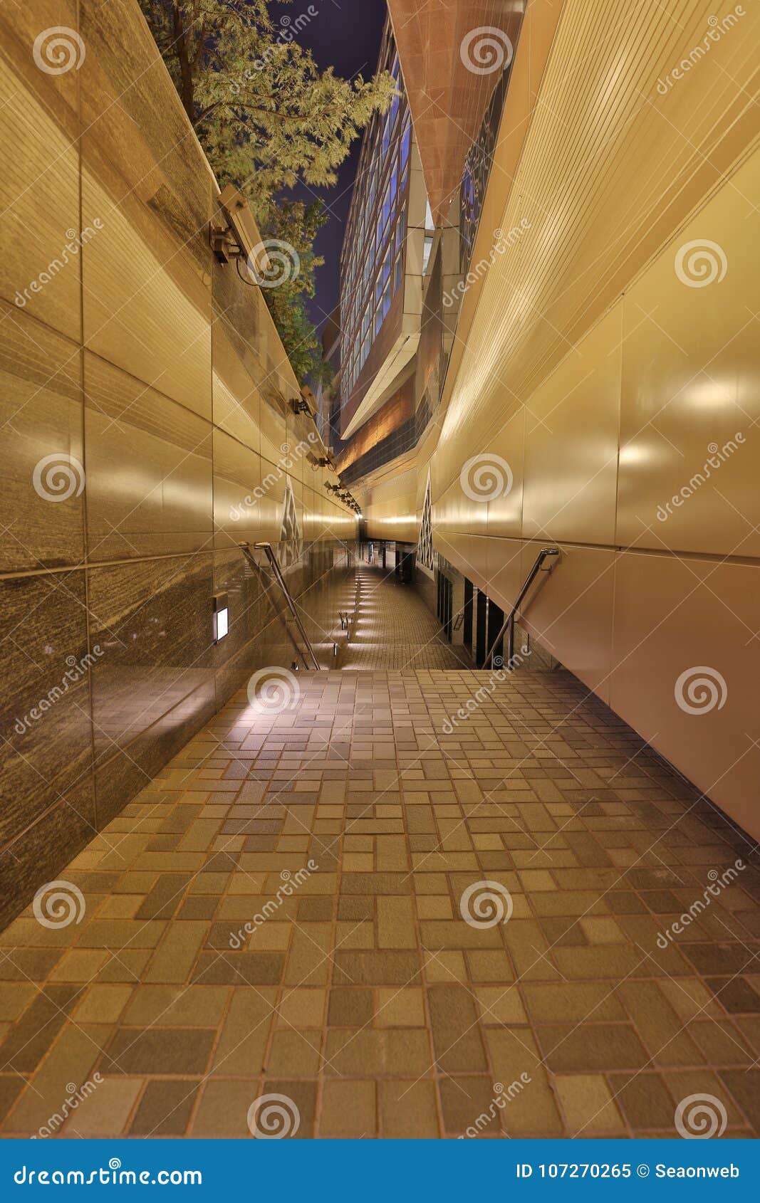 Lighting of the Narrow Way at Night Stock Image - Image of road, walk ...