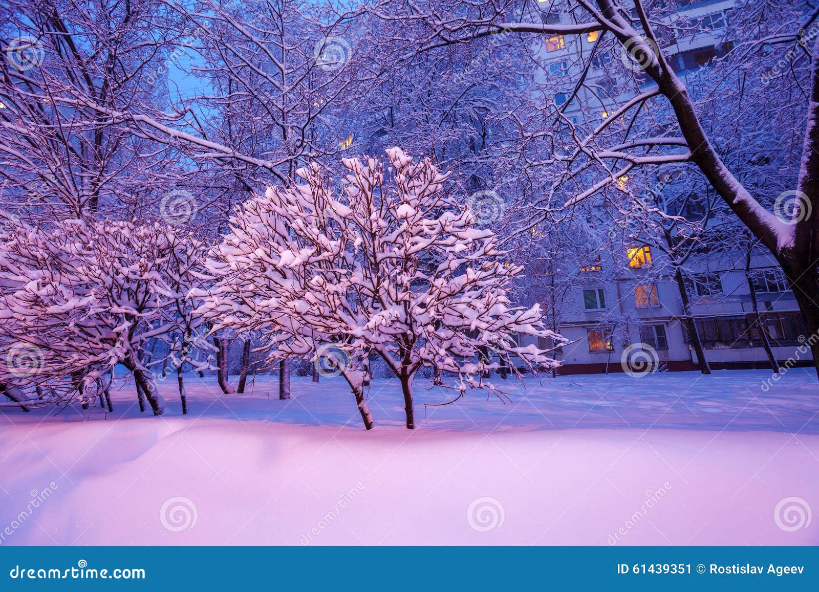 Night Winter City Scene stock image. Image of russia - 61439351