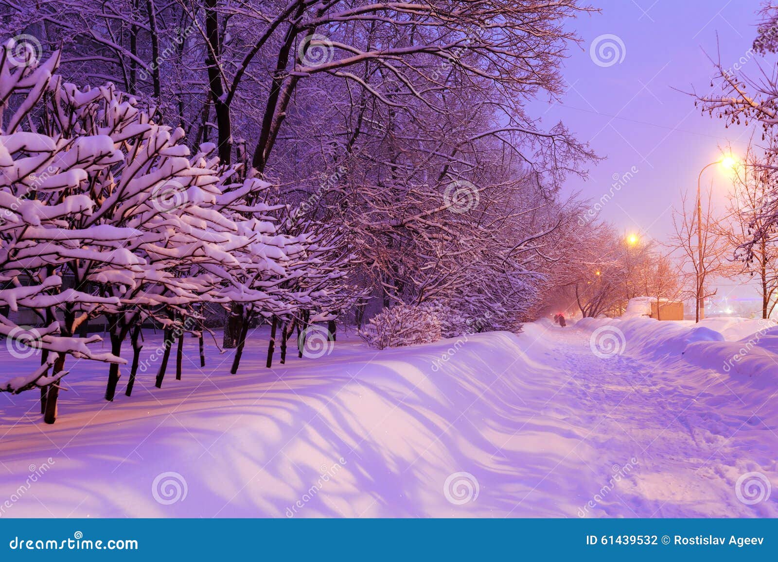 Night Winter City Scene stock photo. Image of background - 61439532