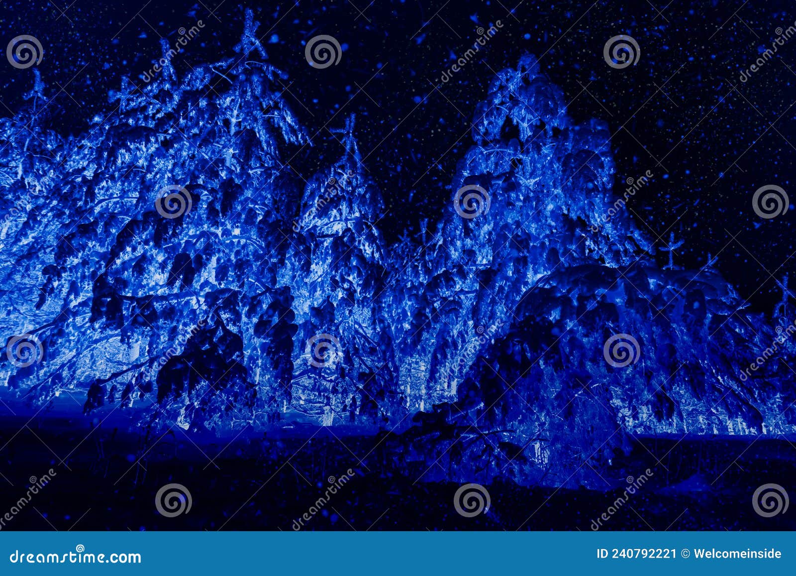 Night Winter Snowy Forest Background Stock Image - Image of calm ...