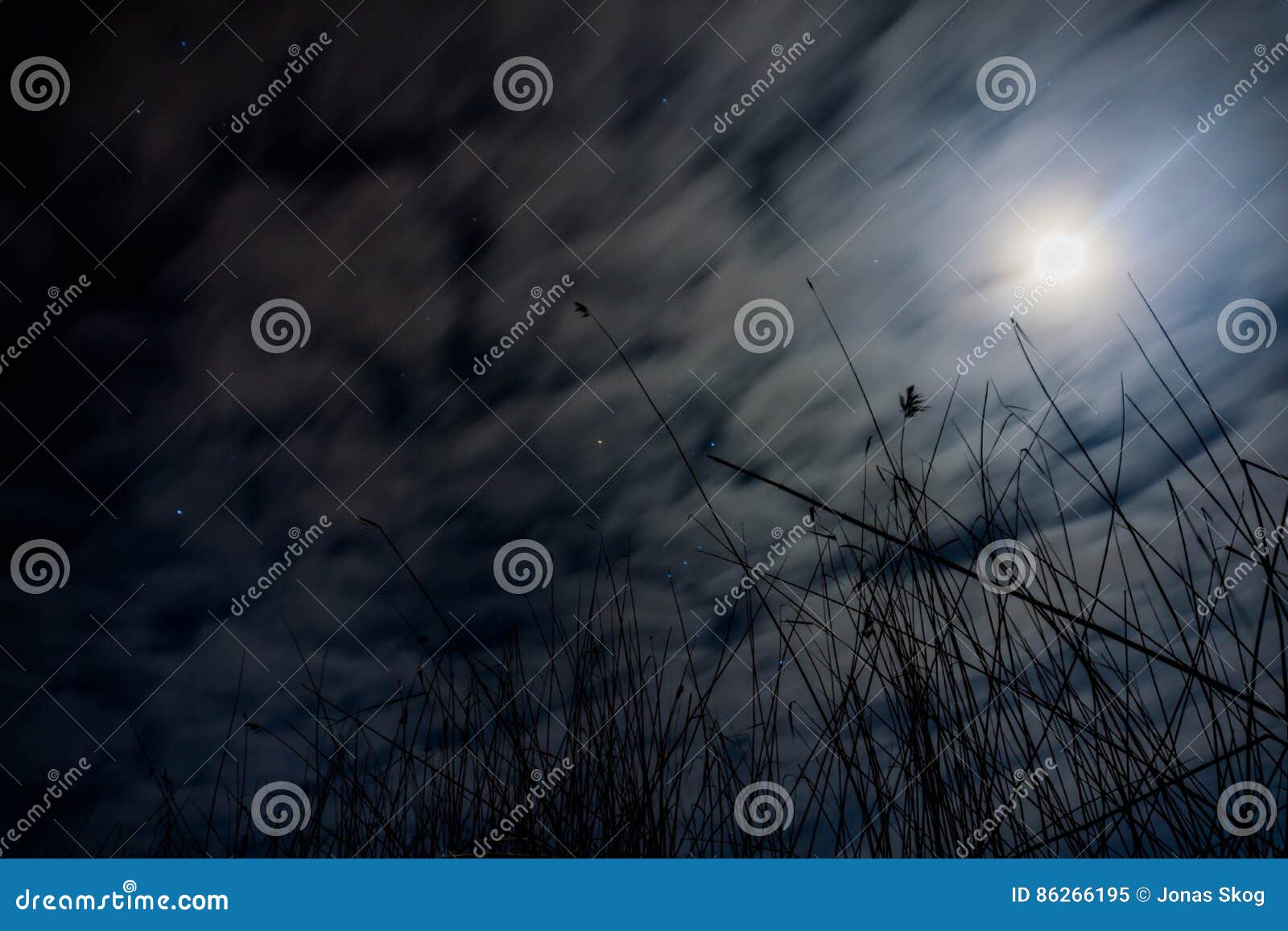 Nightfall stock image. Image of wind, moonlight, covered - 86266195