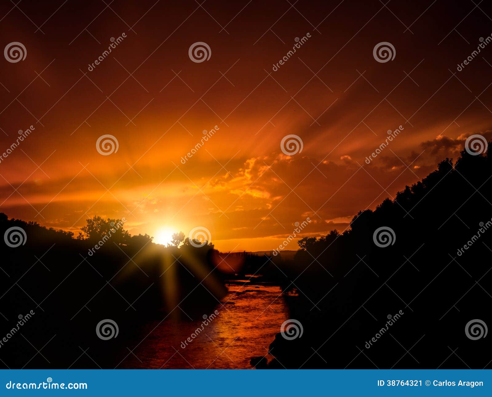 Nightfall stock image. Image of nature, forest, fantasy - 38764321