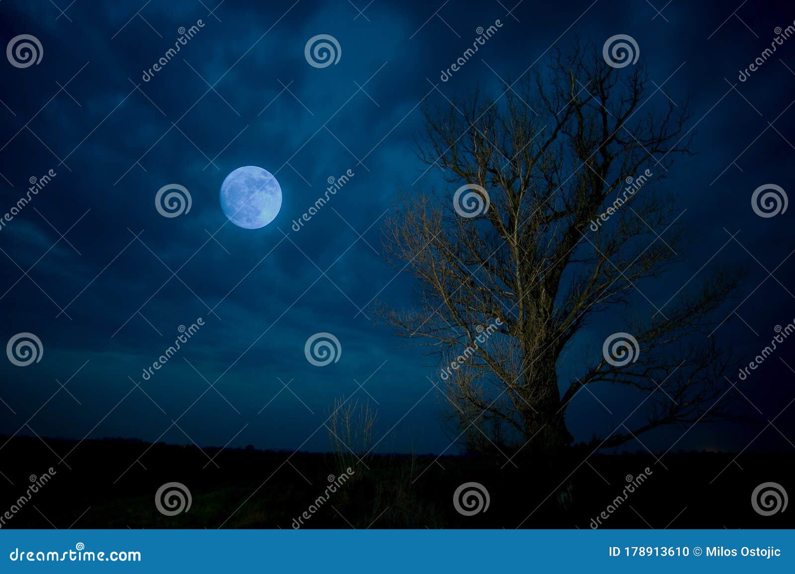 Nightfall and the moon stock photo. Image of nightfall - 178913610