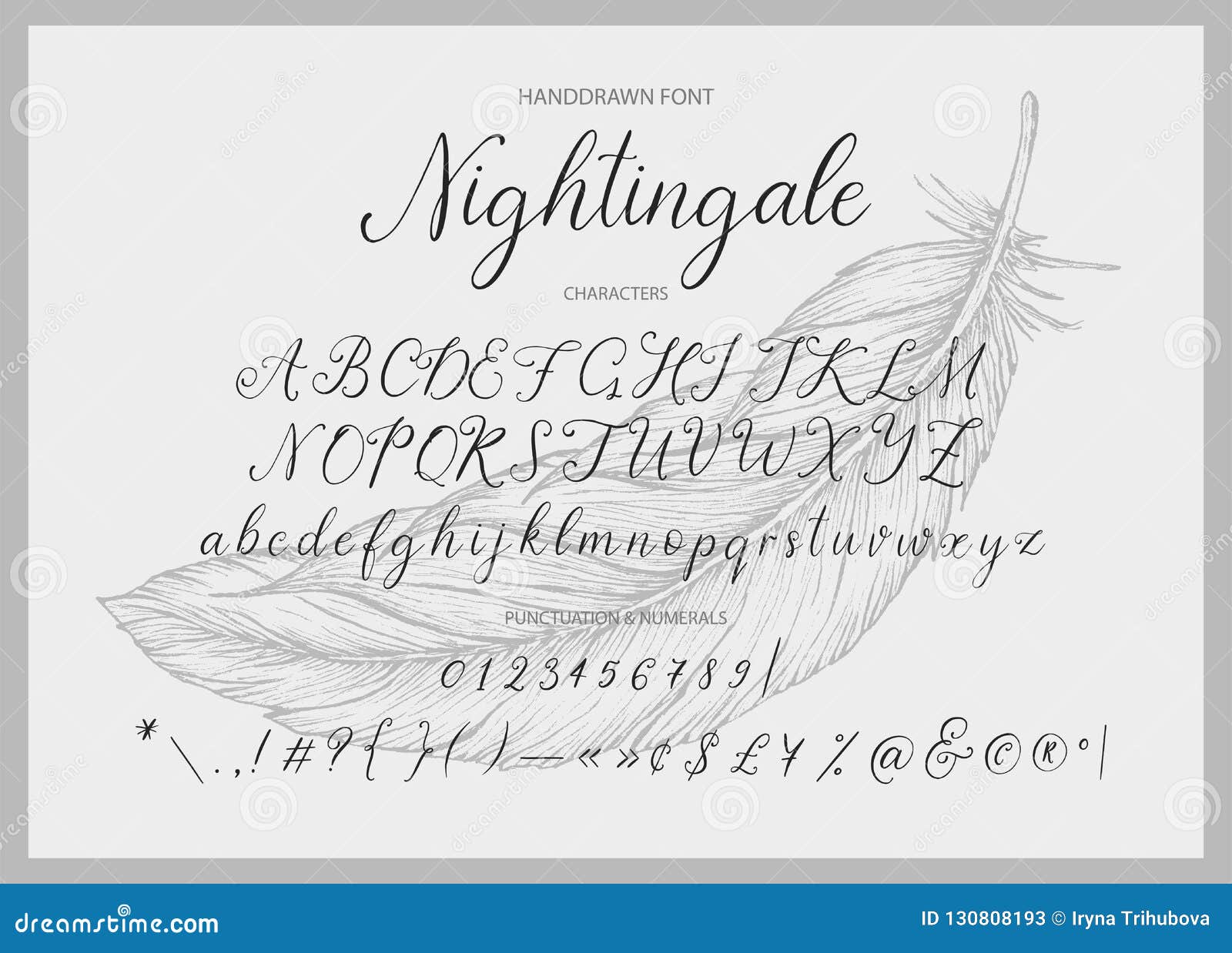 Nightingale. Handdrawn Calligraphic Vector Font Stock Vector ...