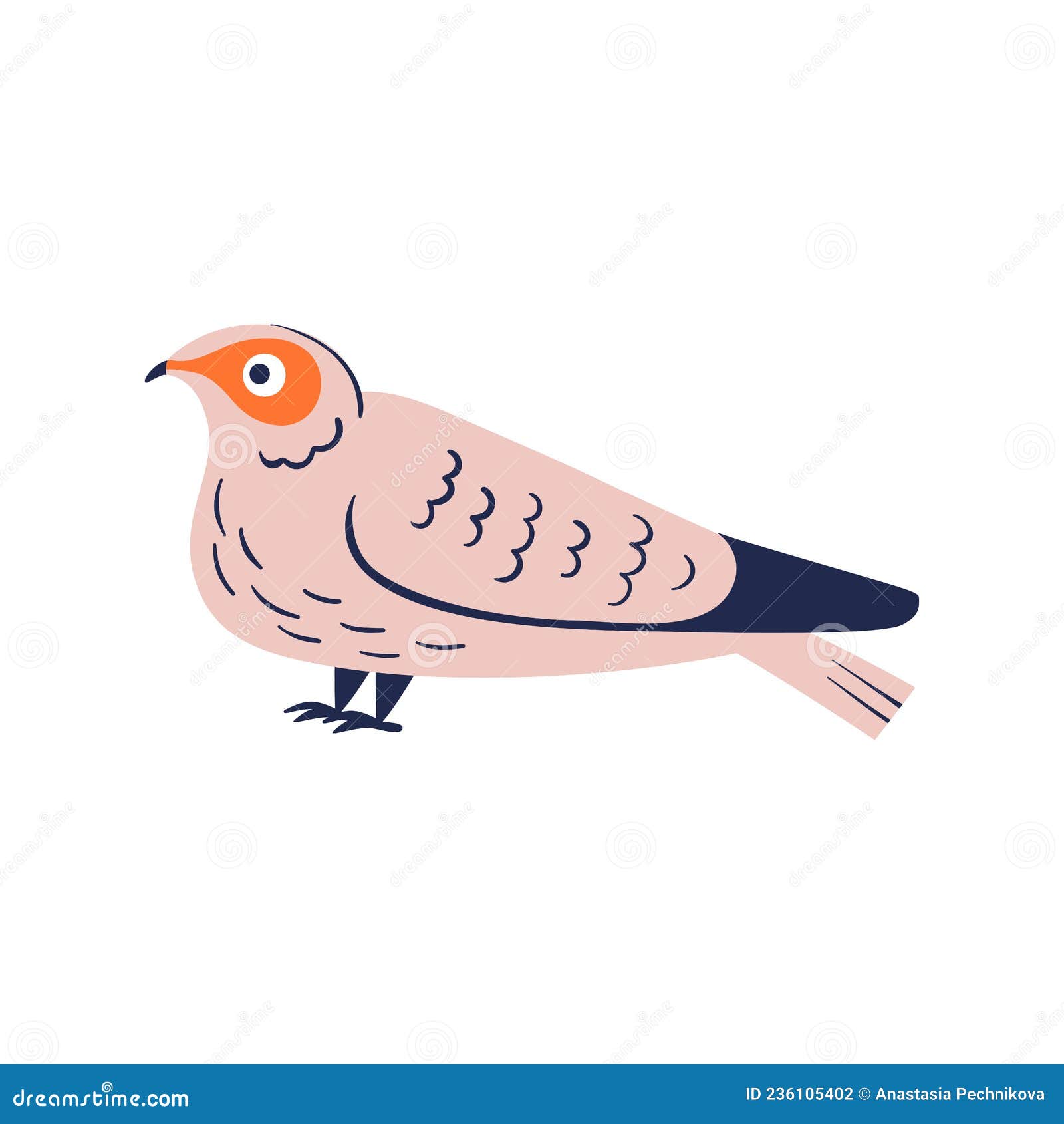 Nightjar Abstract Bird Vector Illustration. Hand Drawn Nocturnal Bird ...