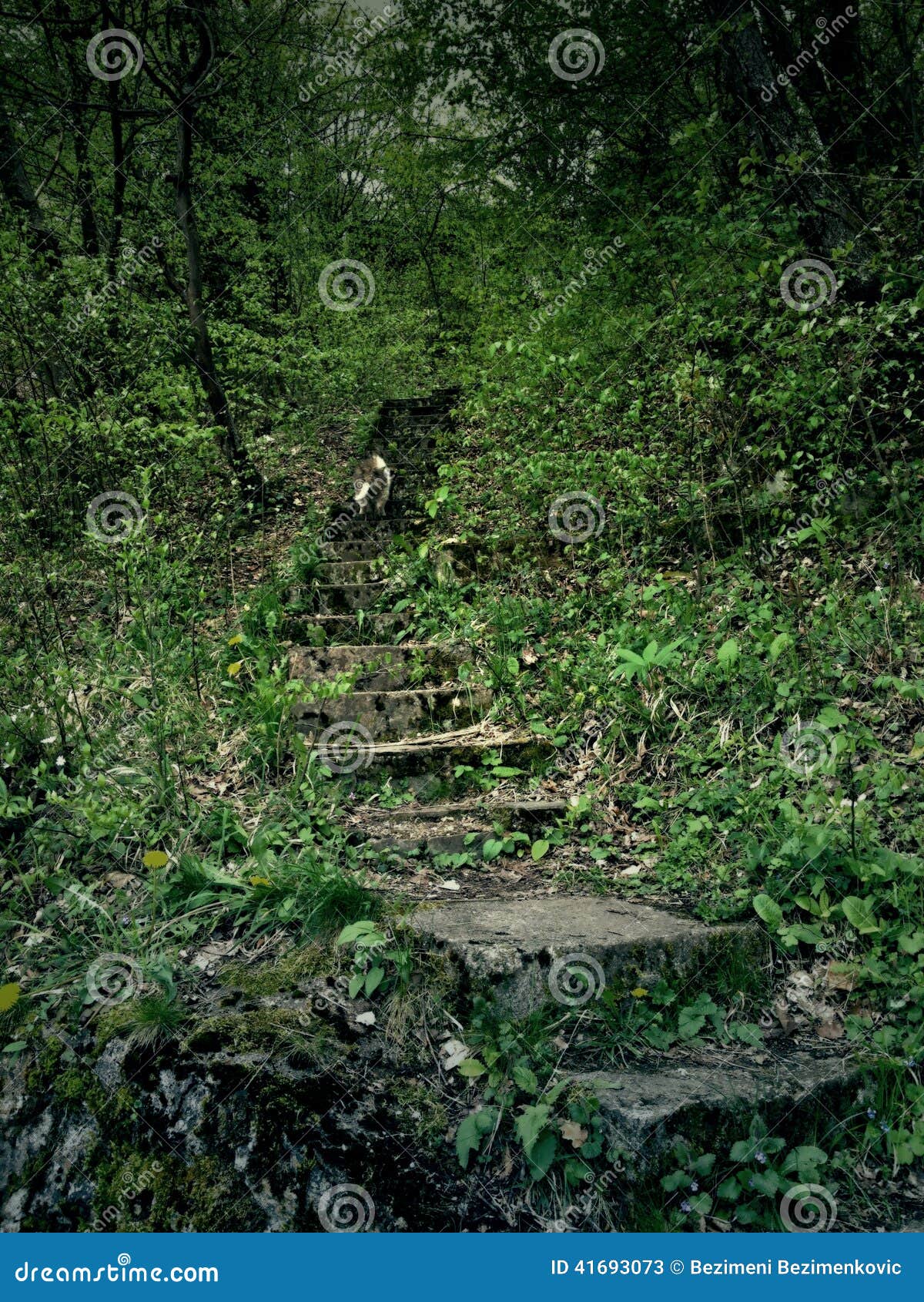 Nightmare landscape stock image. Image of imaginary, dream - 41693073