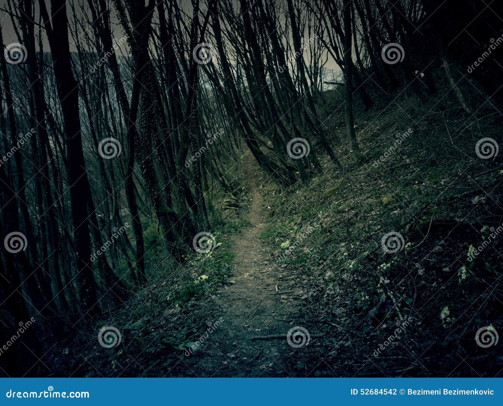 Nightmare Scenario Stock Photos - Free & Royalty-Free Stock Photos from ...