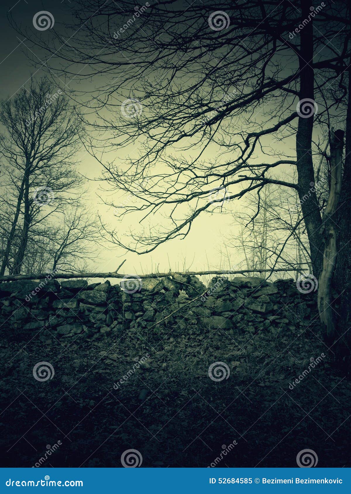 Nightmare landscape stock image. Image of creepy, haunted - 52684585
