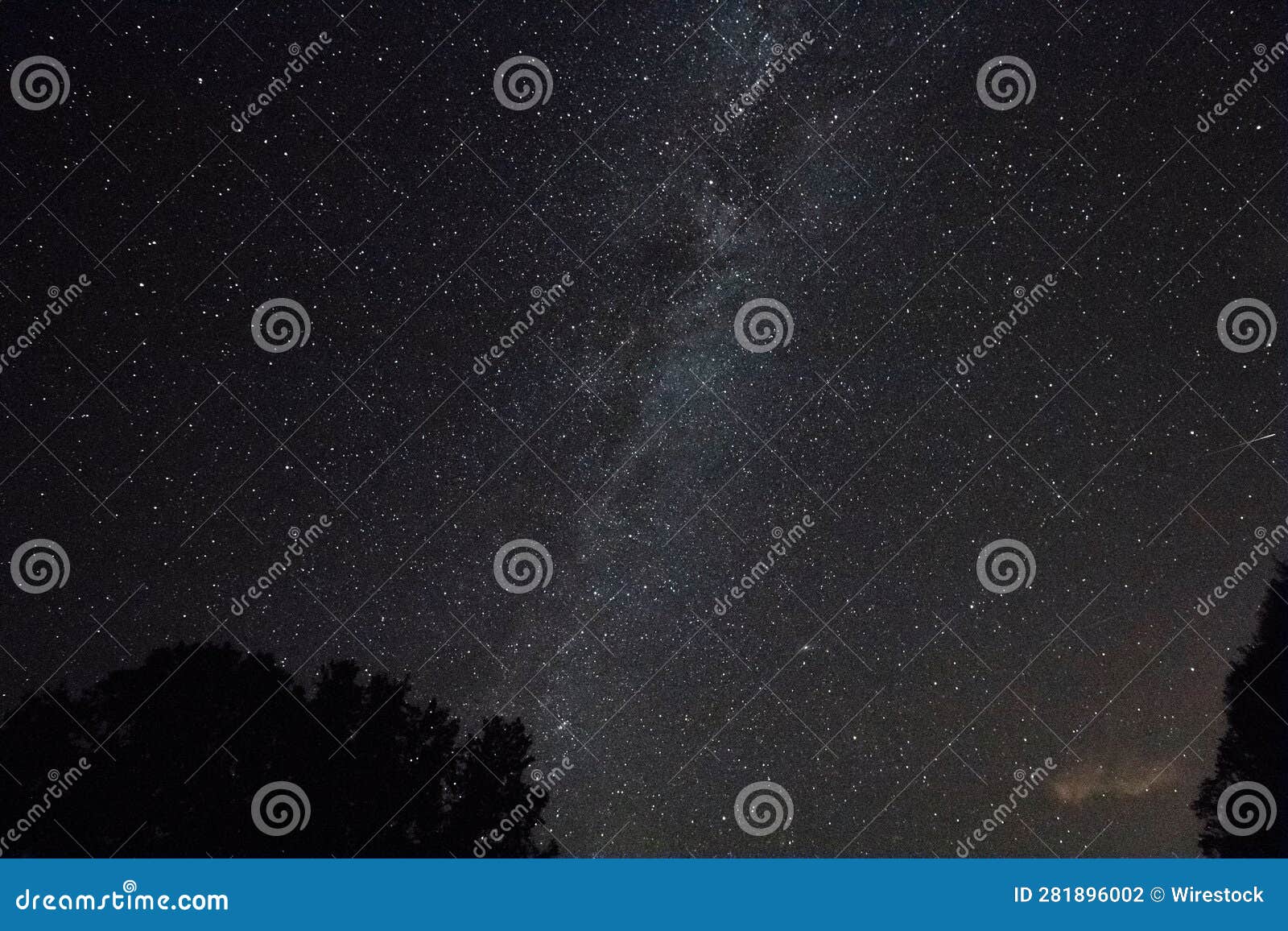 Nightscape of a Forest with a Starry Sky Overhead, Illuminated by a ...