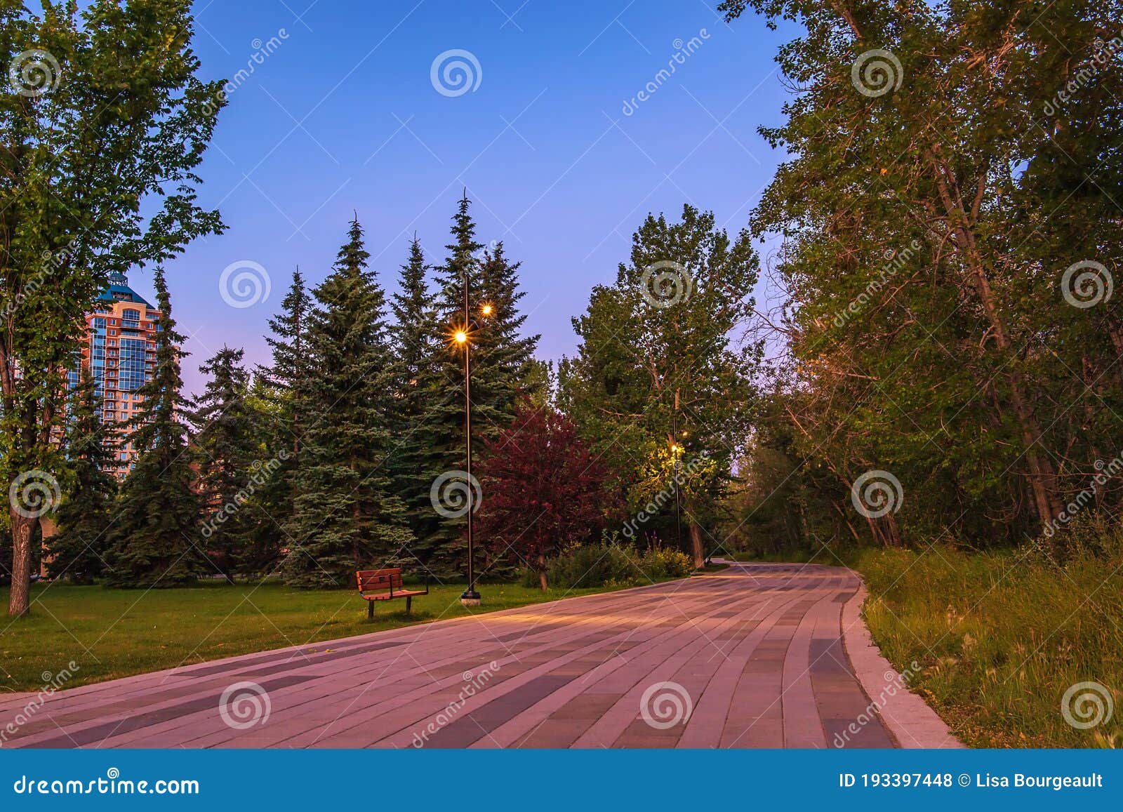 Nighttime Calgary Park Walkway Stock Photo - Image of illuminated ...
