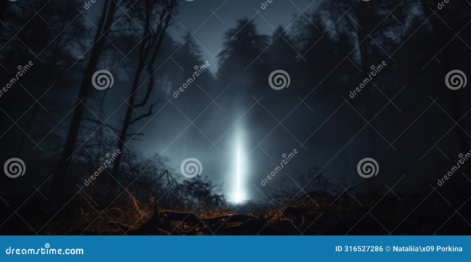 Nighttime Forest with Moonlight. Light Beams in Mist Woods Stock Photo ...
