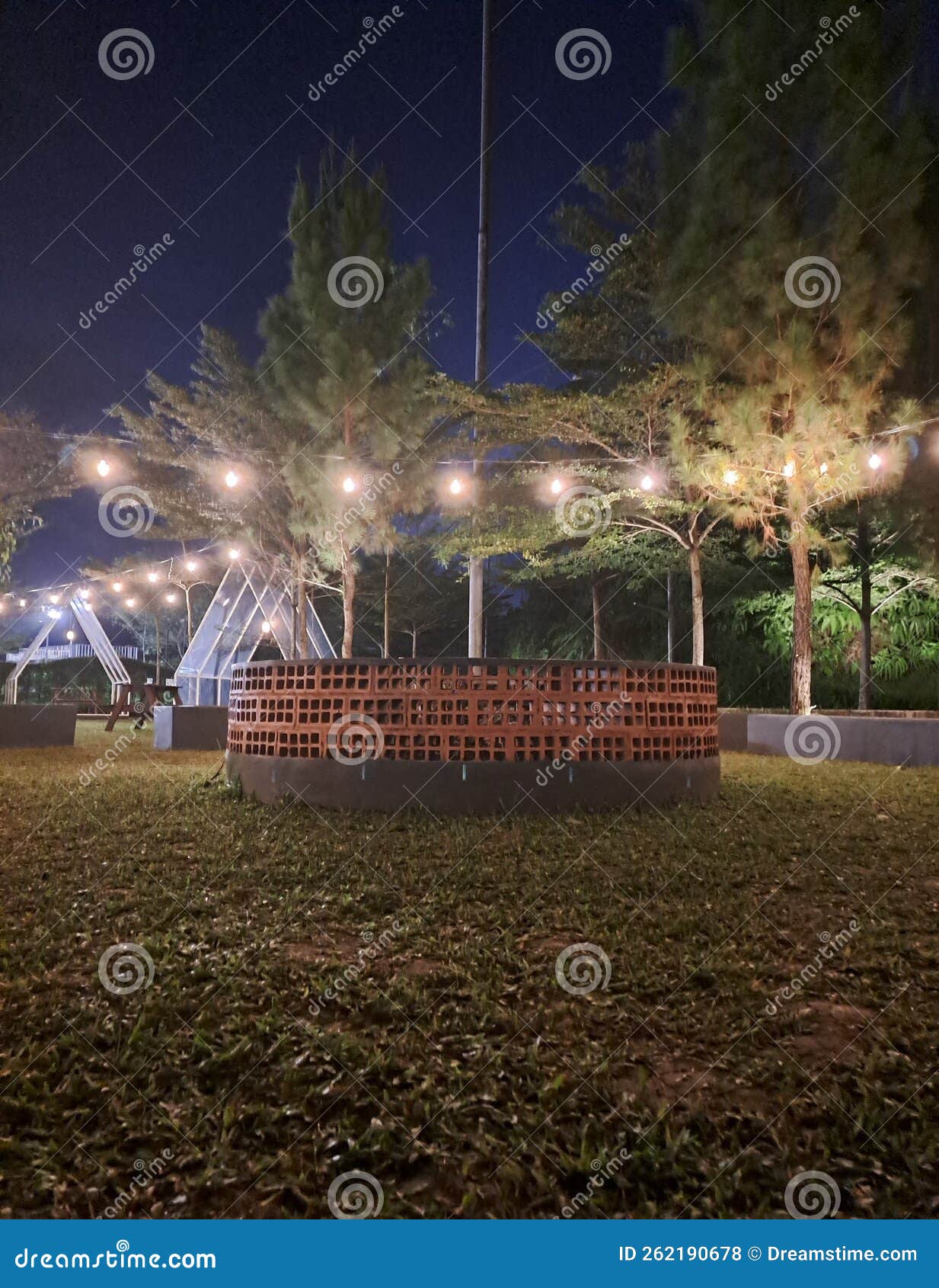 Nighttime on a Park with a Campfire Stock Photo - Image of flower ...