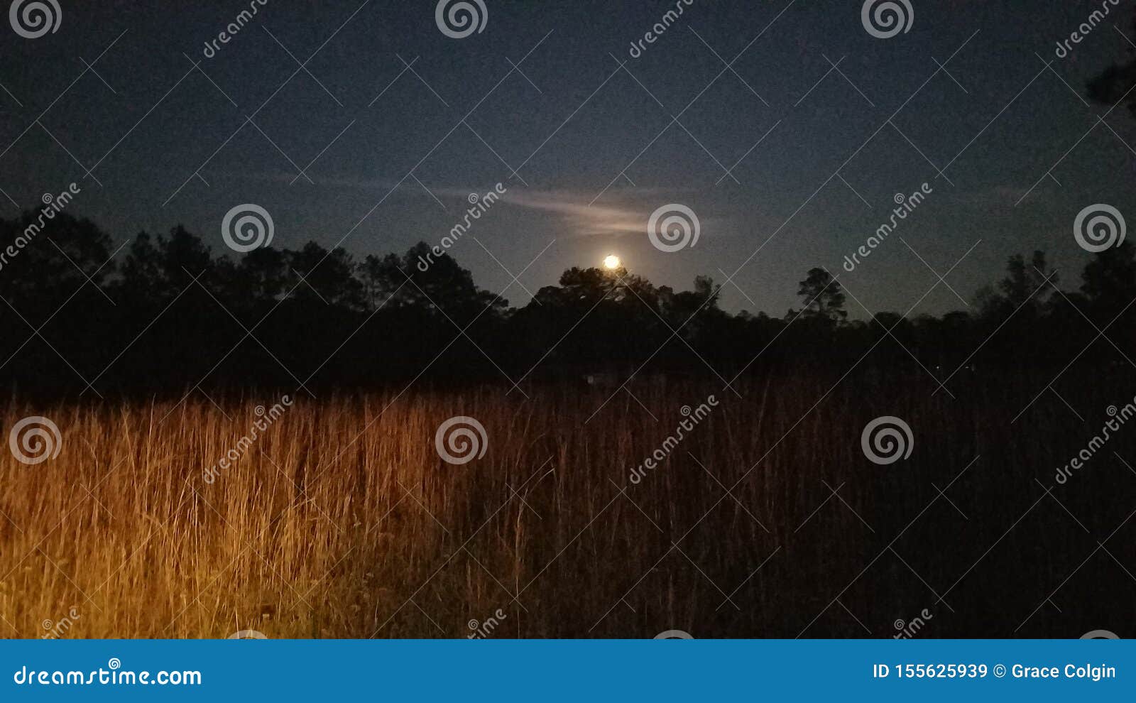 Nighttime Southern Sky stock image. Image of outdoors - 155625939