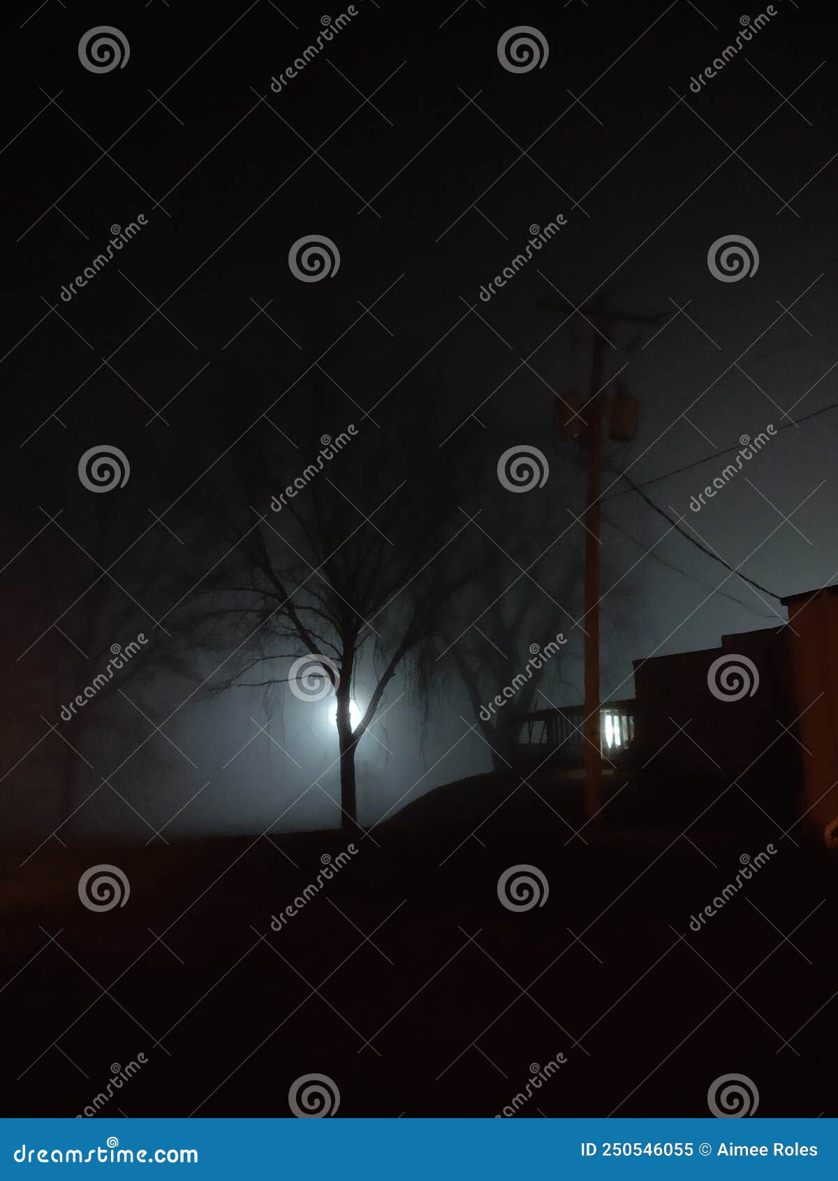 Nighttime Tree Shadow stock image. Image of shad, text - 250546055