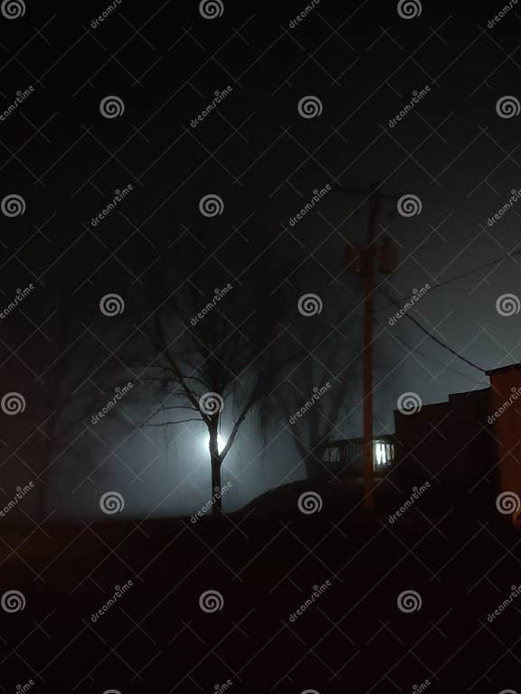 Nighttime Tree Shadow stock image. Image of shad, text - 250546055
