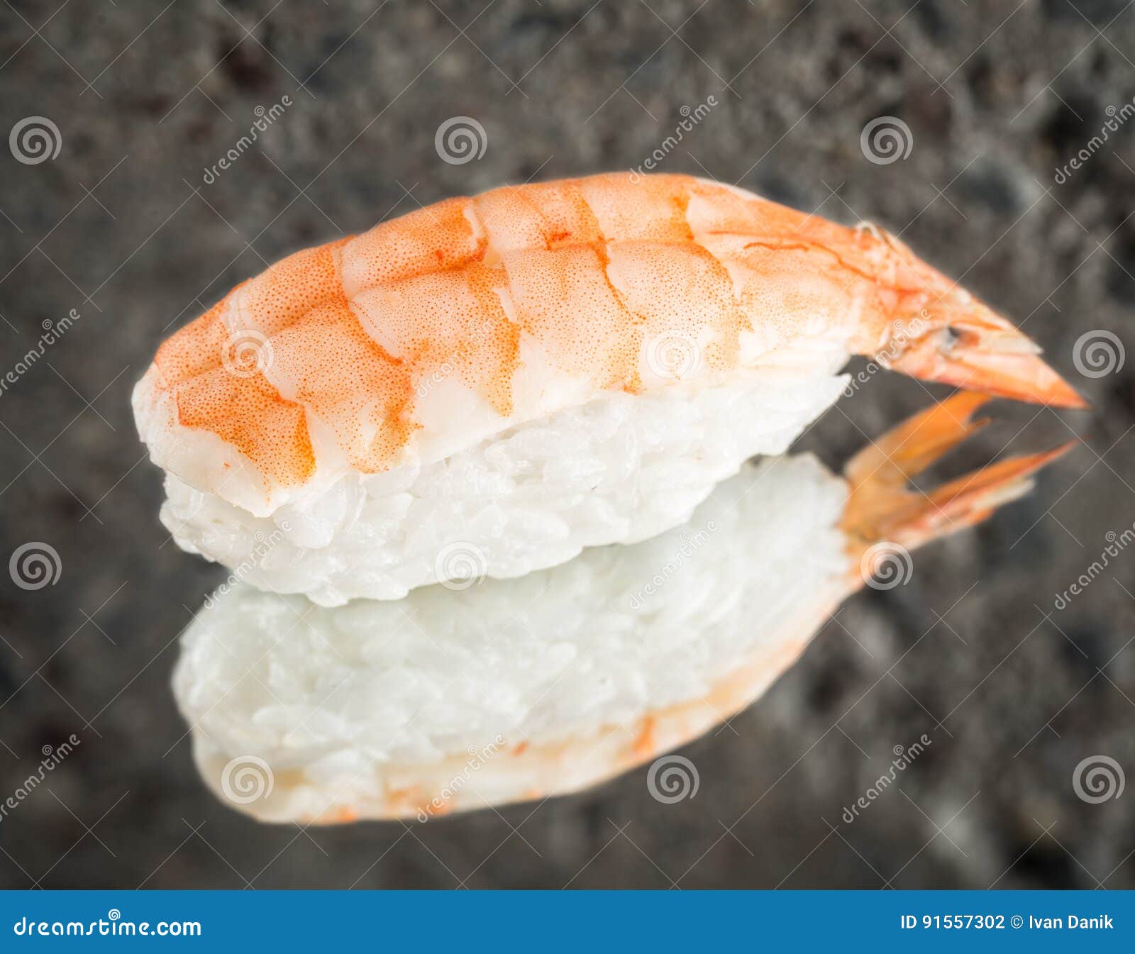 Nigiri sushi with shrimp stock photo. Image of gray, loft - 91557302