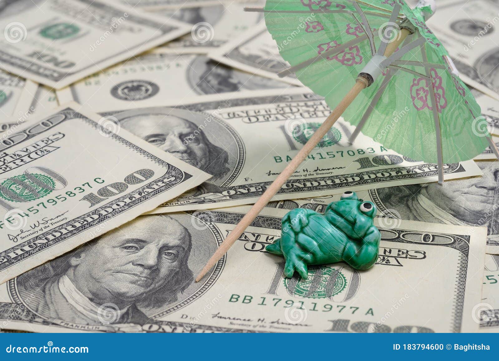 Rich Frog Lying on United States Dollars Under Umbrella Stock Photo ...